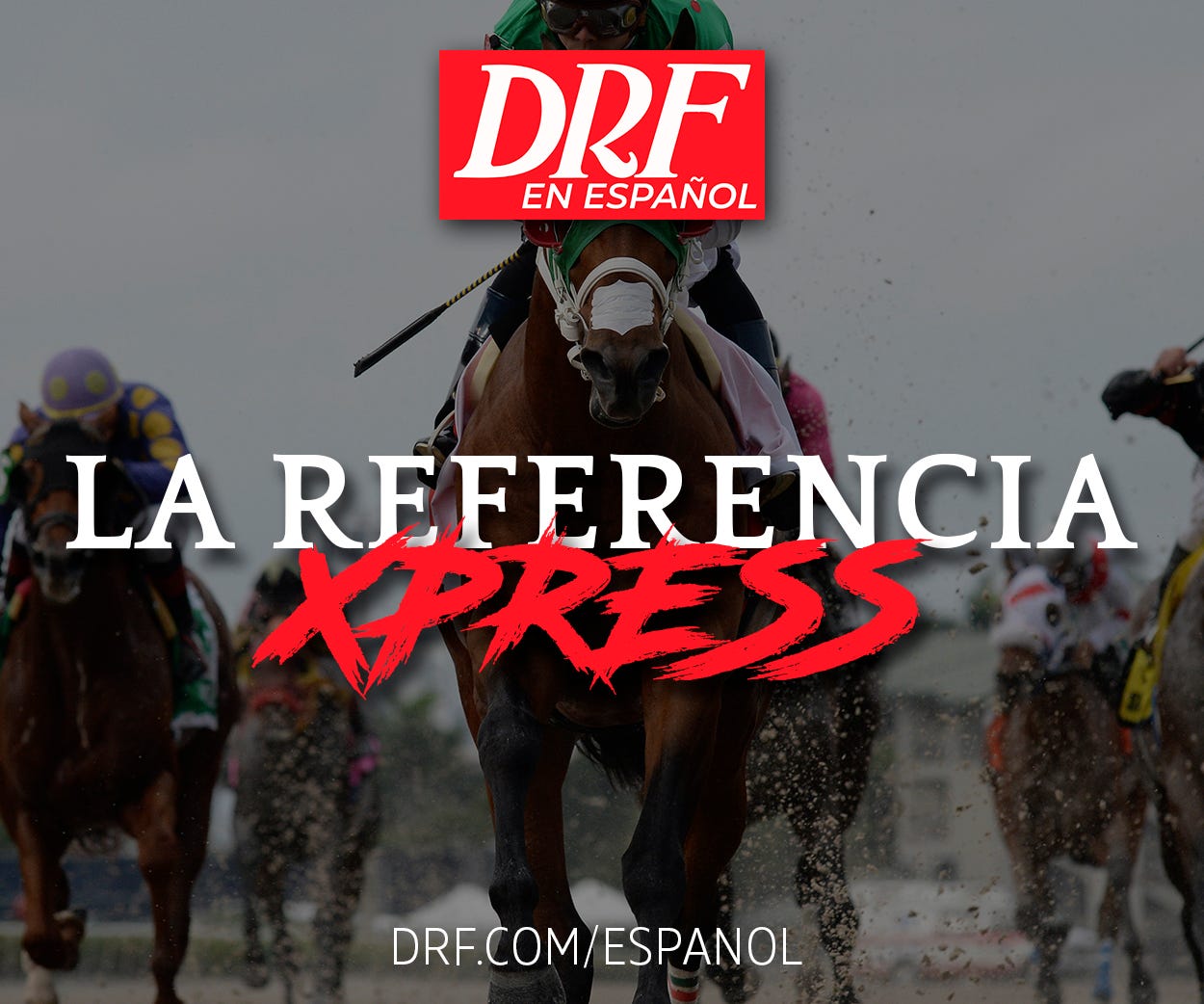 La Referencia Xpress para Gulfstream Park / Diciembre 26